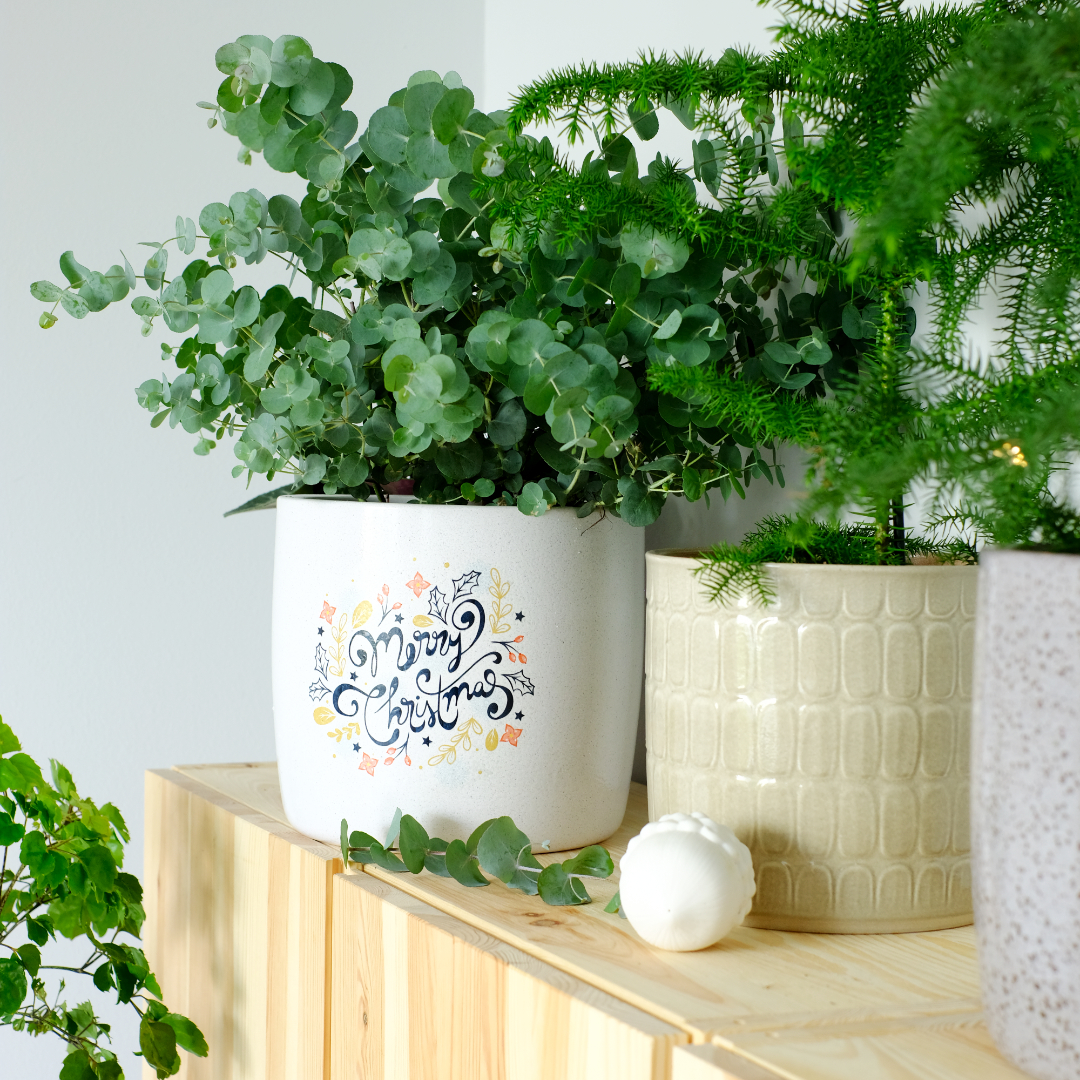 DSCF0961-0 | dekotopia